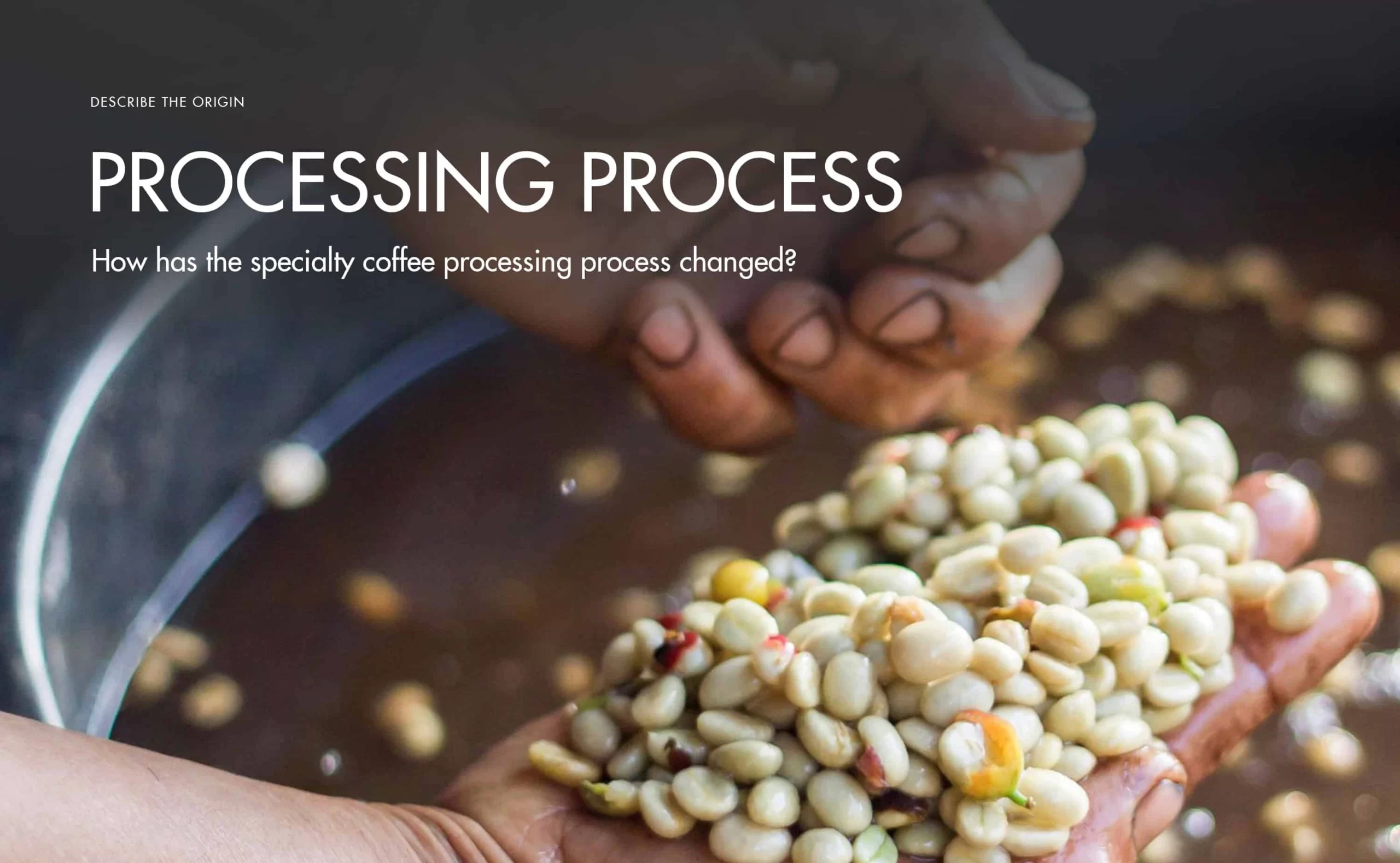 “Borrowed” from wine production - How has the specialty coffee ...